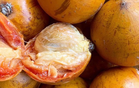 Danlex Wholesale Foods – Food Import