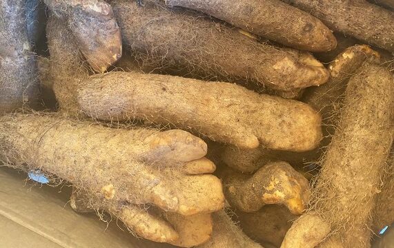 Danlex Wholesale Foods – Food Import