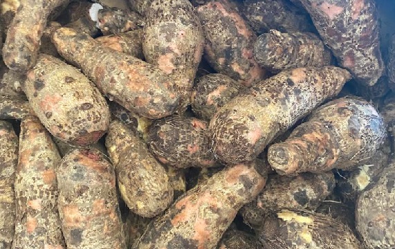 Danlex Wholesale Foods – Food Import