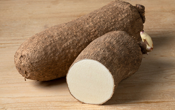 Danlex Wholesale Foods – Food Import